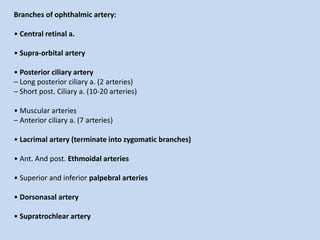 Ocular circulation | PPTX | Eye and Vision Conditions | Diseases and ...