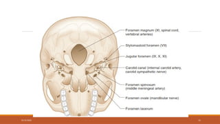 OCULAR CIRCULATION, arterial supply and venous drainage of the eye.pptx