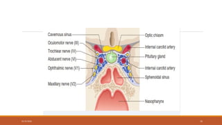 OCULAR CIRCULATION, arterial supply and venous drainage of the eye.pptx