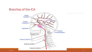 OCULAR CIRCULATION, arterial supply and venous drainage of the eye.pptx