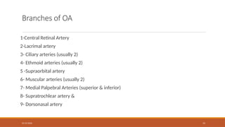 OCULAR CIRCULATION, arterial supply and venous drainage of the eye.pptx