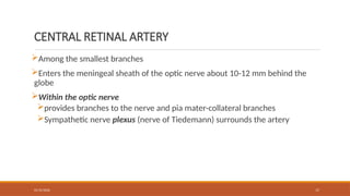 OCULAR CIRCULATION, arterial supply and venous drainage of the eye.pptx