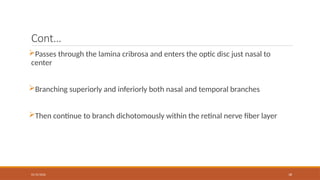 OCULAR CIRCULATION, arterial supply and venous drainage of the eye.pptx