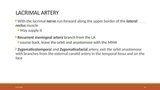 OCULAR CIRCULATION, arterial supply and venous drainage of the eye.pptx