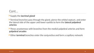 OCULAR CIRCULATION, arterial supply and venous drainage of the eye.pptx