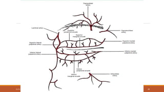 OCULAR CIRCULATION, arterial supply and venous drainage of the eye.pptx