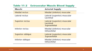 OCULAR CIRCULATION, arterial supply and venous drainage of the eye.pptx