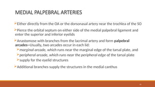 OCULAR CIRCULATION, arterial supply and venous drainage of the eye.pptx
