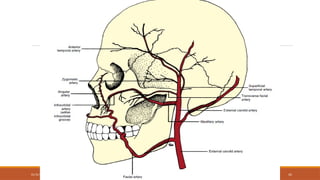 OCULAR CIRCULATION, arterial supply and venous drainage of the eye.pptx