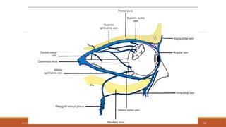 OCULAR CIRCULATION, arterial supply and venous drainage of the eye.pptx