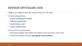 OCULAR CIRCULATION, arterial supply and venous drainage of the eye.pptx
