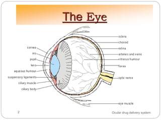 Ocular dds | PPTX | Eye and Vision Conditions | Diseases and Conditions