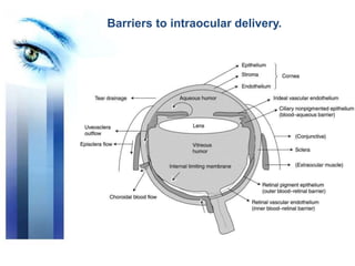 Ocular delivery system | PPTX