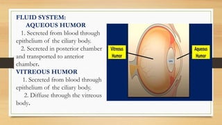 OCULAR DRUG DELIEVERY SYSTEM | PPTX