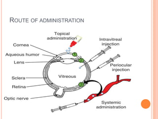 Ocular drug delivery | PPT