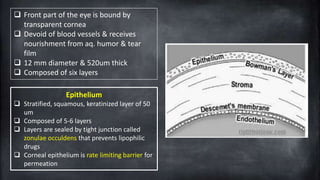 Ocular drug delivery | PPTX | Eye and Vision Conditions | Diseases and ...