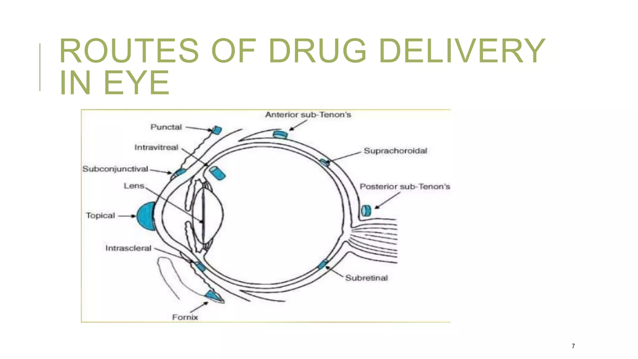 Ocular drug delivery system | PPTX