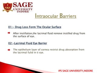 Ocular drug delivery system | PPTX | Eye and Vision Conditions ...