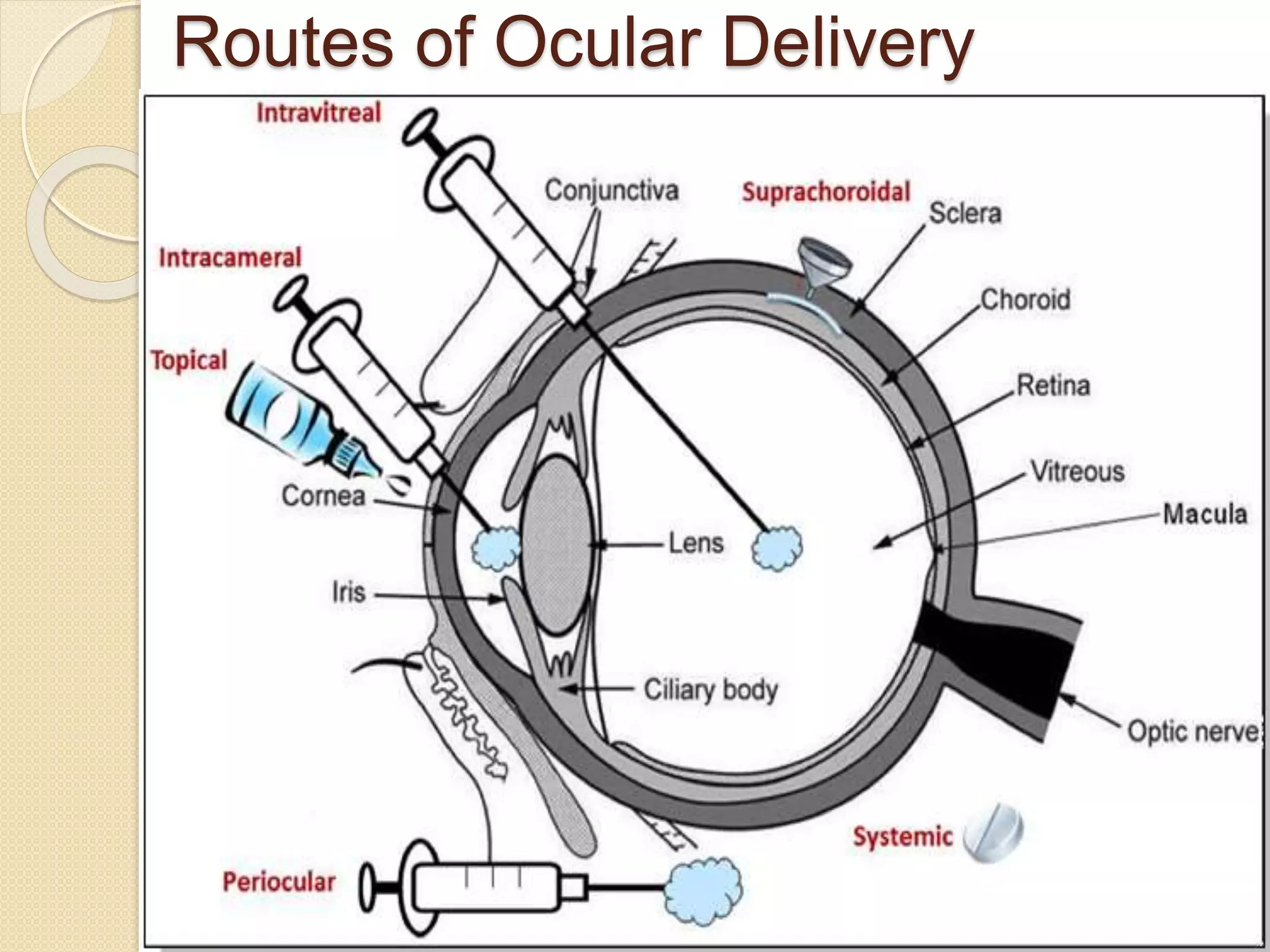 Ocular Drug Delivery System.pptx