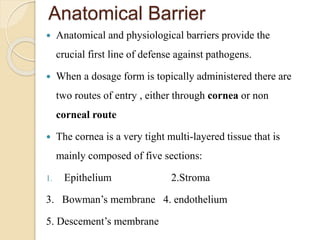 Ocular Drug Delivery System.pptx