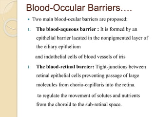 Ocular Drug Delivery System.pptx