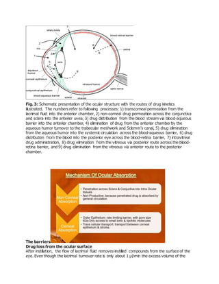 overview of Ocular drug delivery systems | PDF