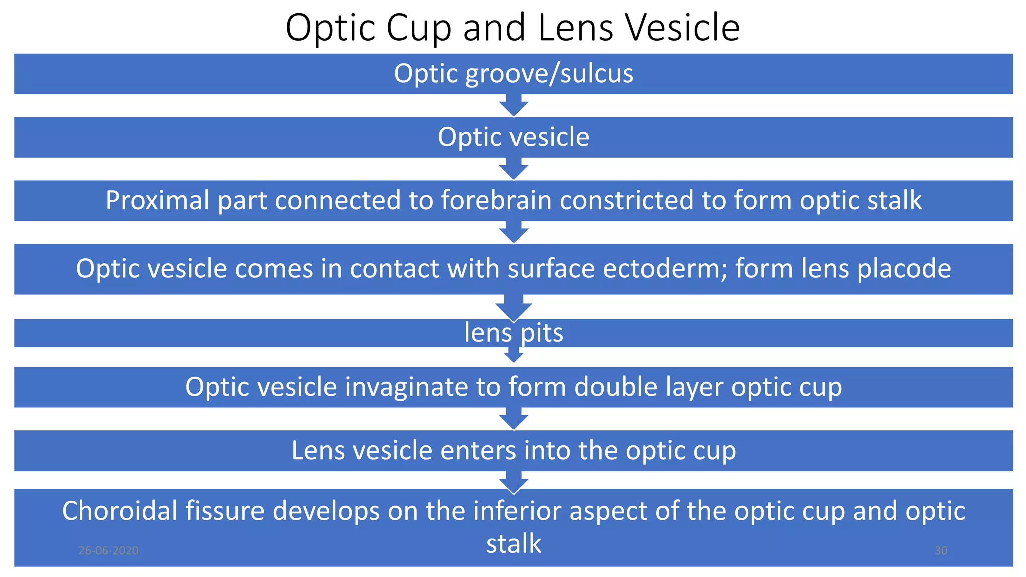 Ocular embryology | PPTX