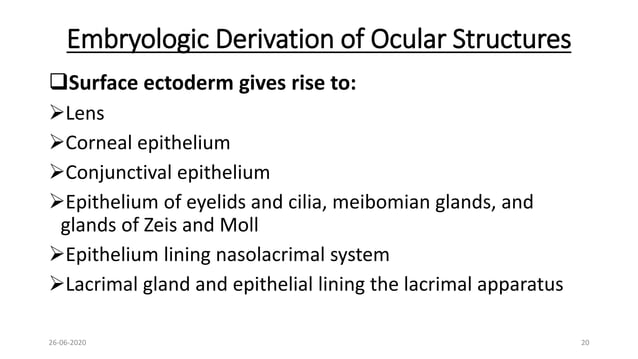 Ocular embryology | PPTX | Infertility | Reproductive Health
