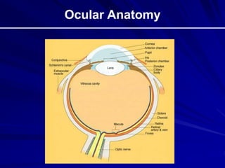 Ocular emergencies.ppt