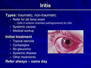 Traumatic Iritis Slit Lamp