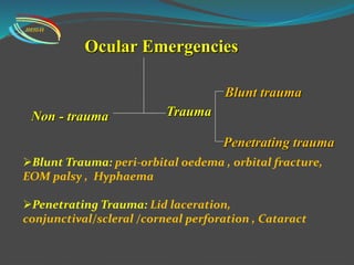 Ocular Emergencies | PPTX
