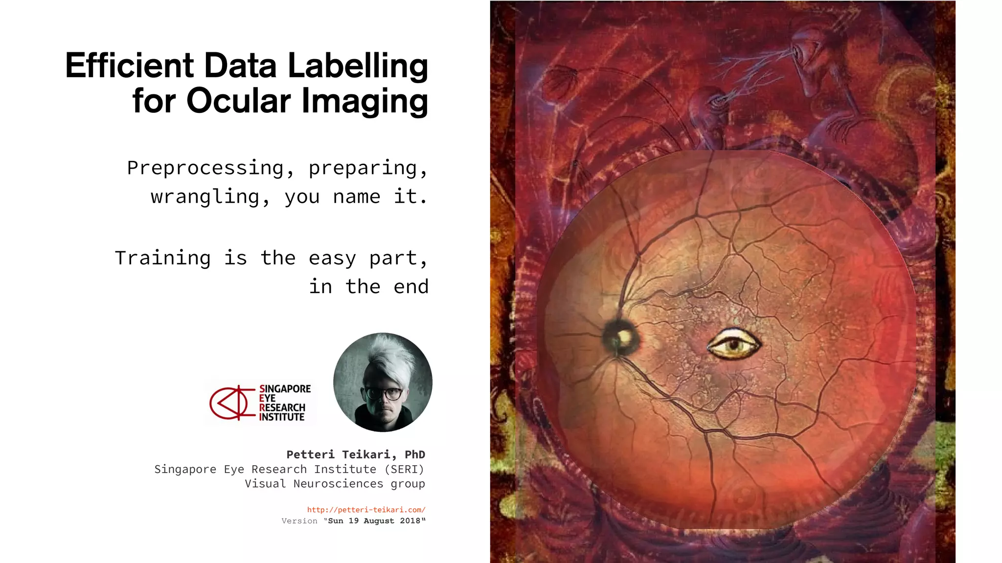 Efficient Data Labelling for Ocular Imaging | PDF | Databases ...