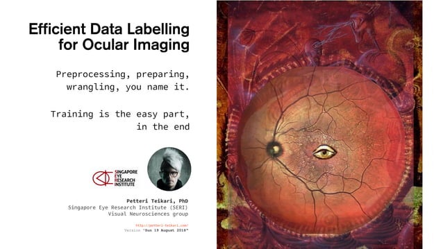 Efficient Data Labelling for Ocular Imaging | PDF | Databases ...