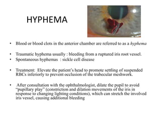 Ocular injuries | PPTX