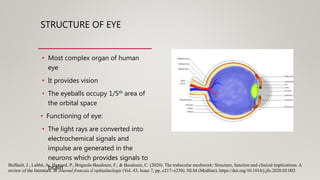 Ocular inserts ppt | PPTX