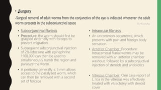 Ocular Loaloa filariasis by Dr. Iddi.pptx