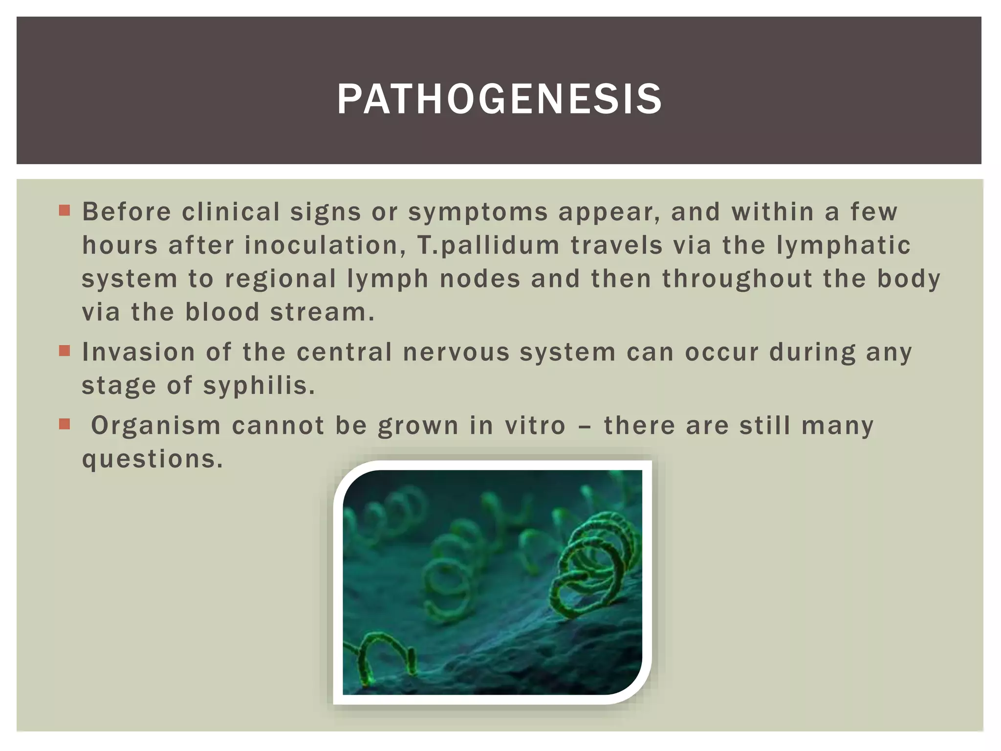 Ocular manifestations of syphilis | PPTX | Eye and Vision Conditions ...