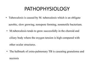 OCULAR MANIFESTATIONS OF TB.pptx