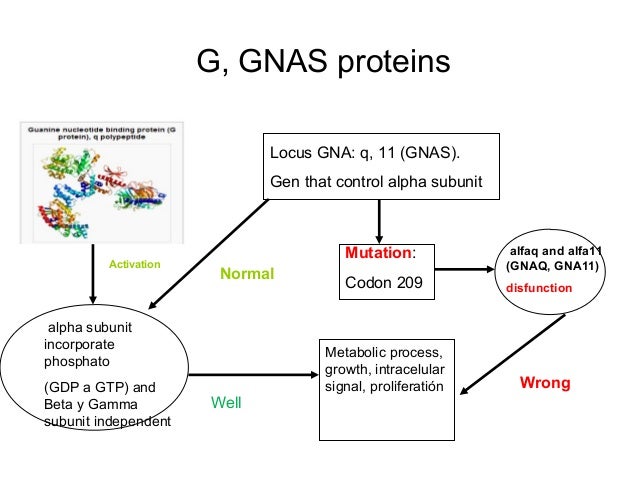 Ocular melanoma concepts and treatment