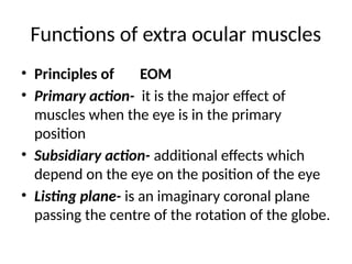 OCULAR MOTILITY.pptx ocular motility slit | PPTX