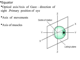 OCULAR MOTILITY.pptx ocular motility slit | PPTX