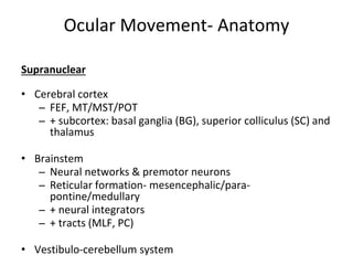 Ocular Motility- The Basic Science | PPTX