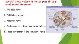 Ocular Motility, Extra-Ocular Muscles NDORI.pptx