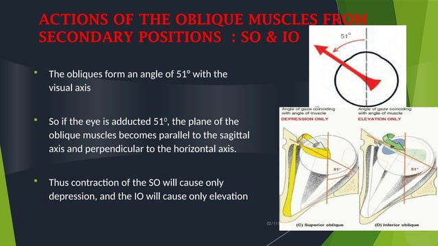 Ocular Motility, Extra-Ocular Muscles NDORI.pptx