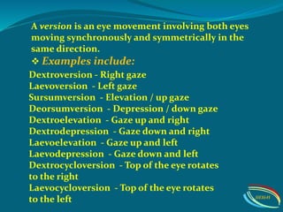 Extraocular Eye Movement Test