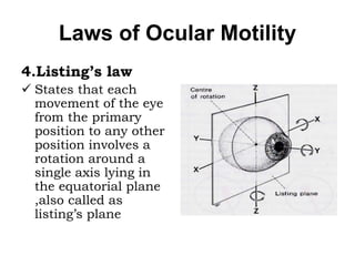 Ocular movements kamara (MURHEC) | PPT