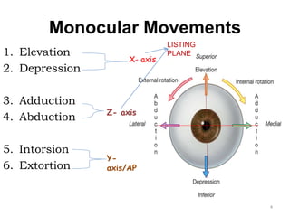 Ocular movements kamara (MURHEC) | PPTX