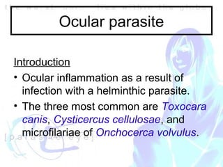 NW2005 Ocular parasites | PPT