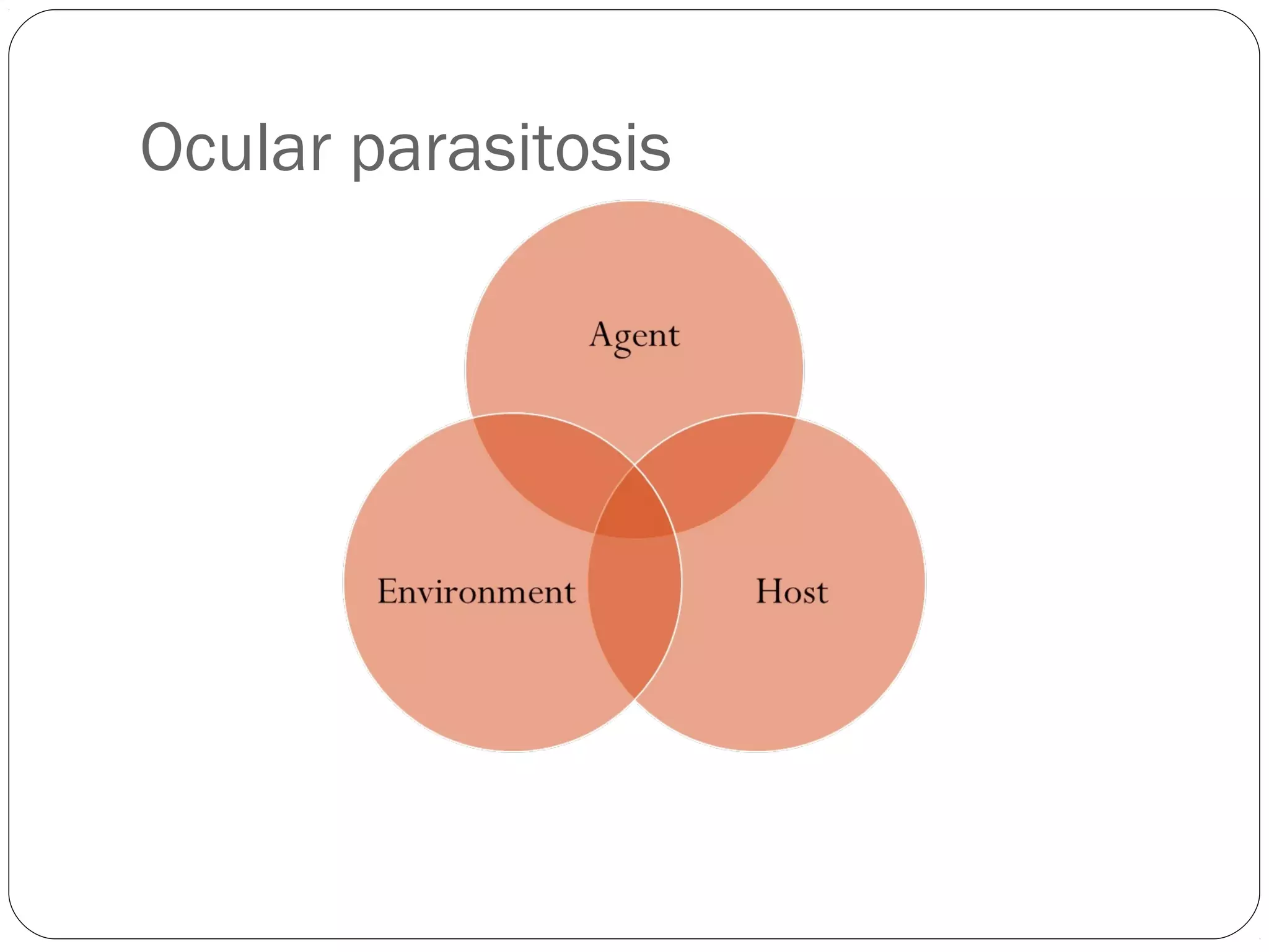 Ocular parasitic infection | PPT