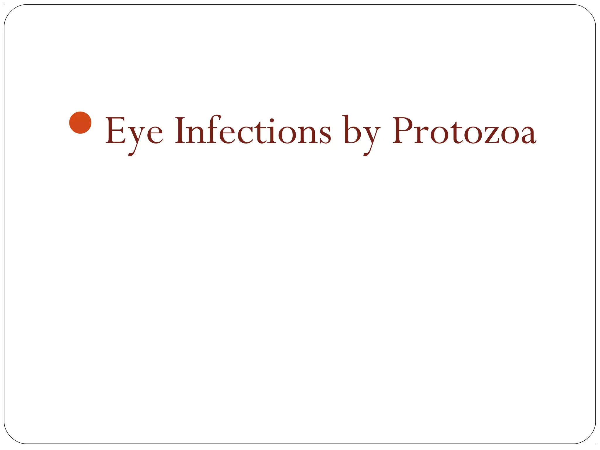 Ocular parasitic infection | PPT